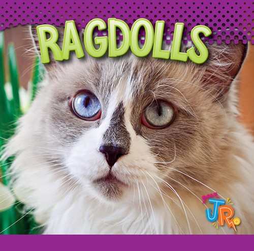 Ragdolls by Marysa Storm Hardcover Book 9781644666791 | eBay UK