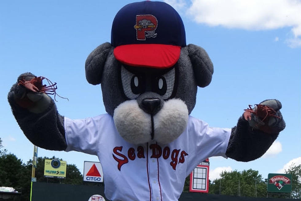 Portland Sea Dogs Mascot Slugger The Sea Dog Bobblehead SGA 8/14/18 ...