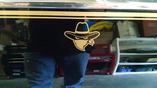 TRANS AM BANDIT GOLD DECAL FIREBIRD KAWASAKI BOAT SMOKEY BURT REYNOLDS ...
