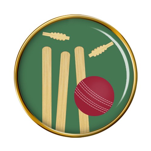 Bowled (Cricket) Pin Badge | eBay