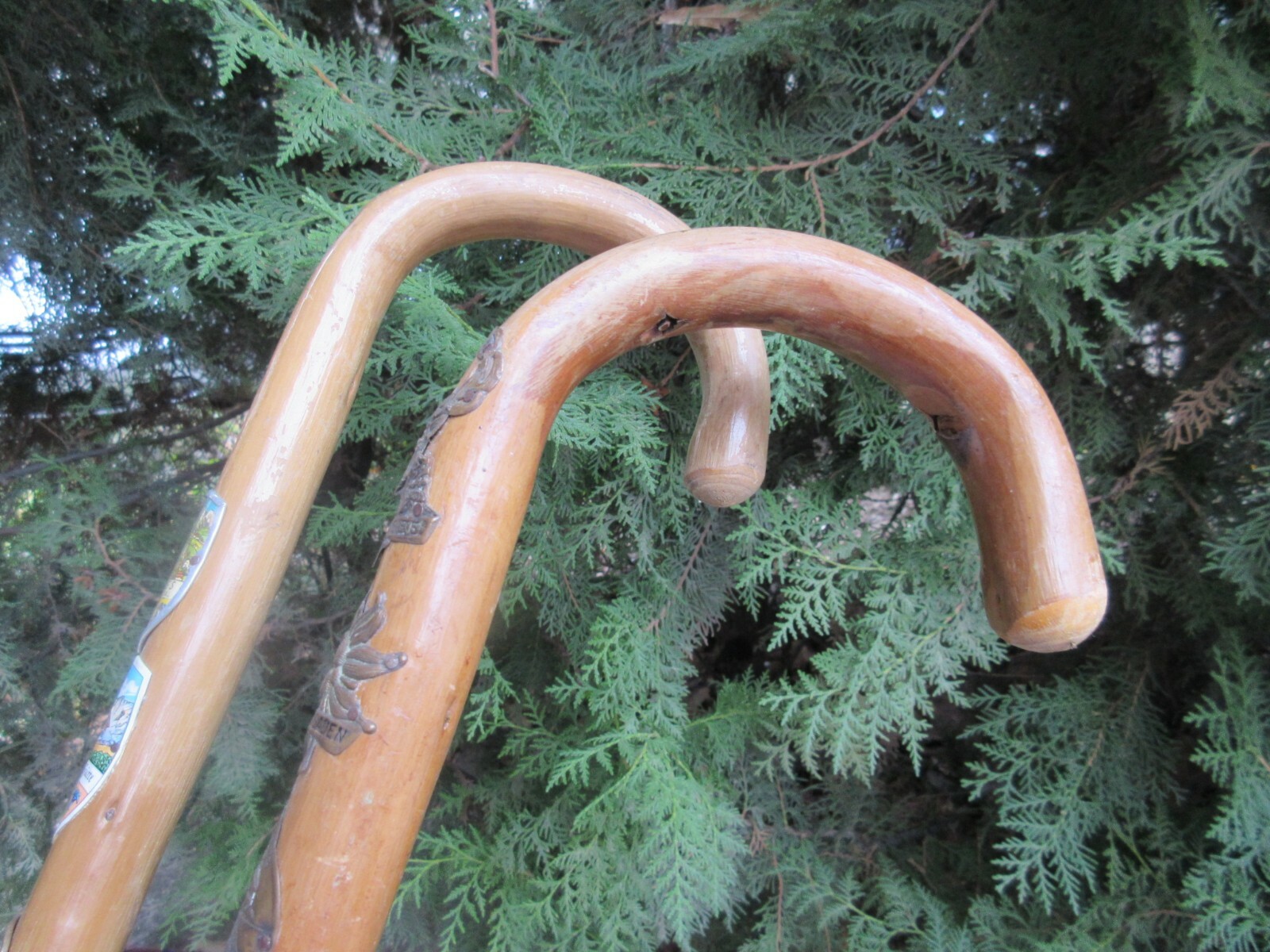 VTG TWO GERMAN TRAVEL WALKING HIKING STICK CANE WITH BADGES MEDALS ...