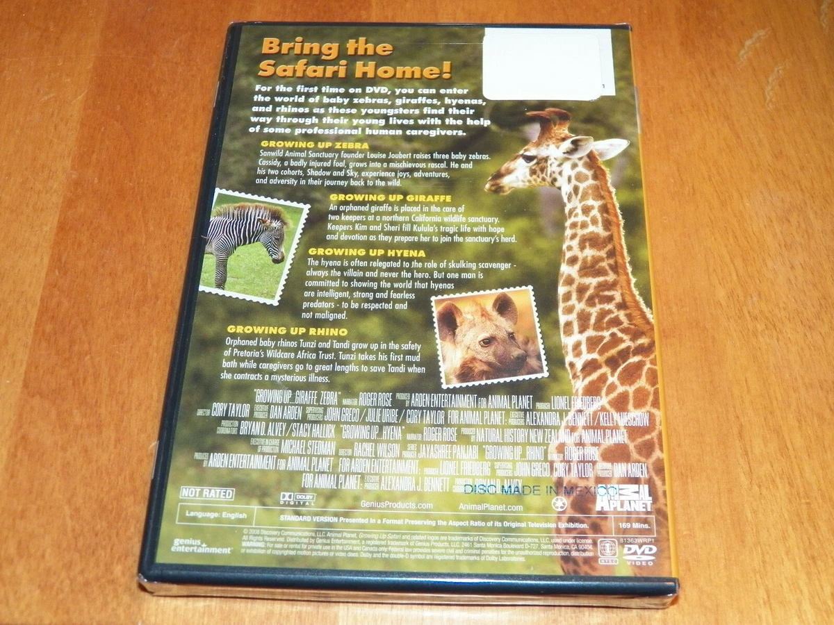 Baby Zebras And Giraffes