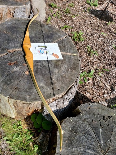 Vintage Damon Howatt Archery Cavalier recurve 30# | eBay