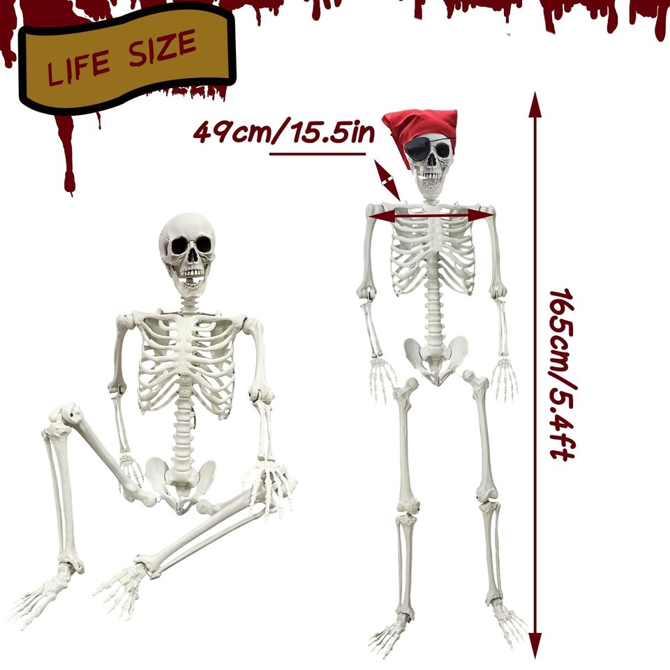 5.4Ft Halloween Skeleton - Life Size Full Body Realistic Human Bones ...