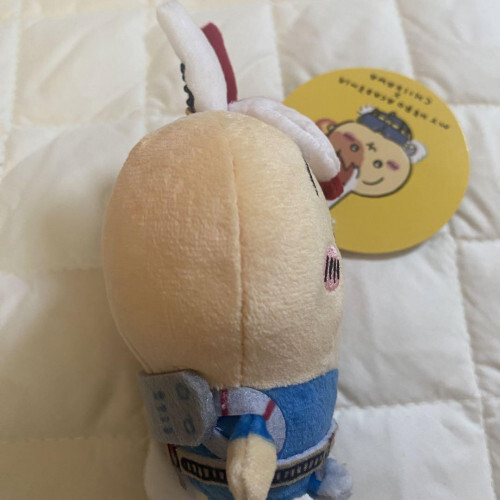 Chiikawa Rabbit My Hero Academia Collaboration Todoroki Shoto Mascot | eBay