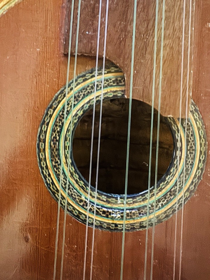 Charango 24” Vintage South American 10 String Armadillo Shell | eBay