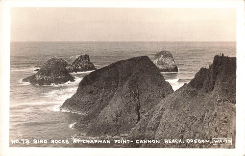 RPPC Bird Rocks Chapman Point Cannon Beach, Oregon Real Photo Postcard ...