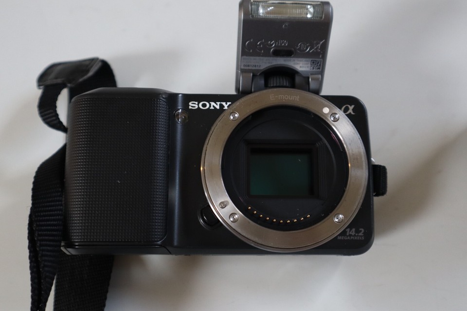 Sony Alpha NEX-3 14.2 MP Digital Camera With Sony SEL1855 Lens Tested ...