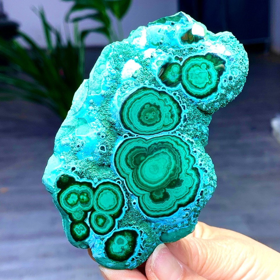 278G Natural Chrysocolla/Malachite transparent cluster rough mineral ...