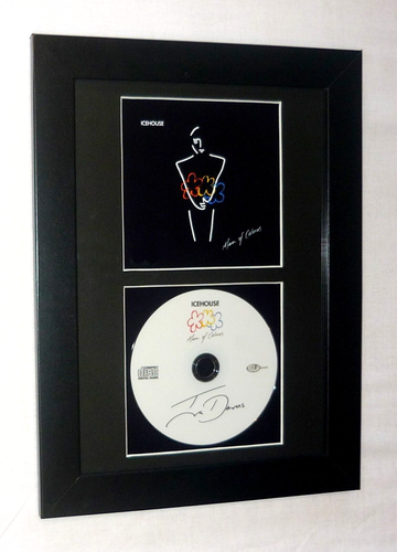 Icehouse Man of Colours Iva Davies Signature CD Signed Mounted and ...