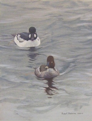 Robert Bateman Goldeneye Pair | eBay