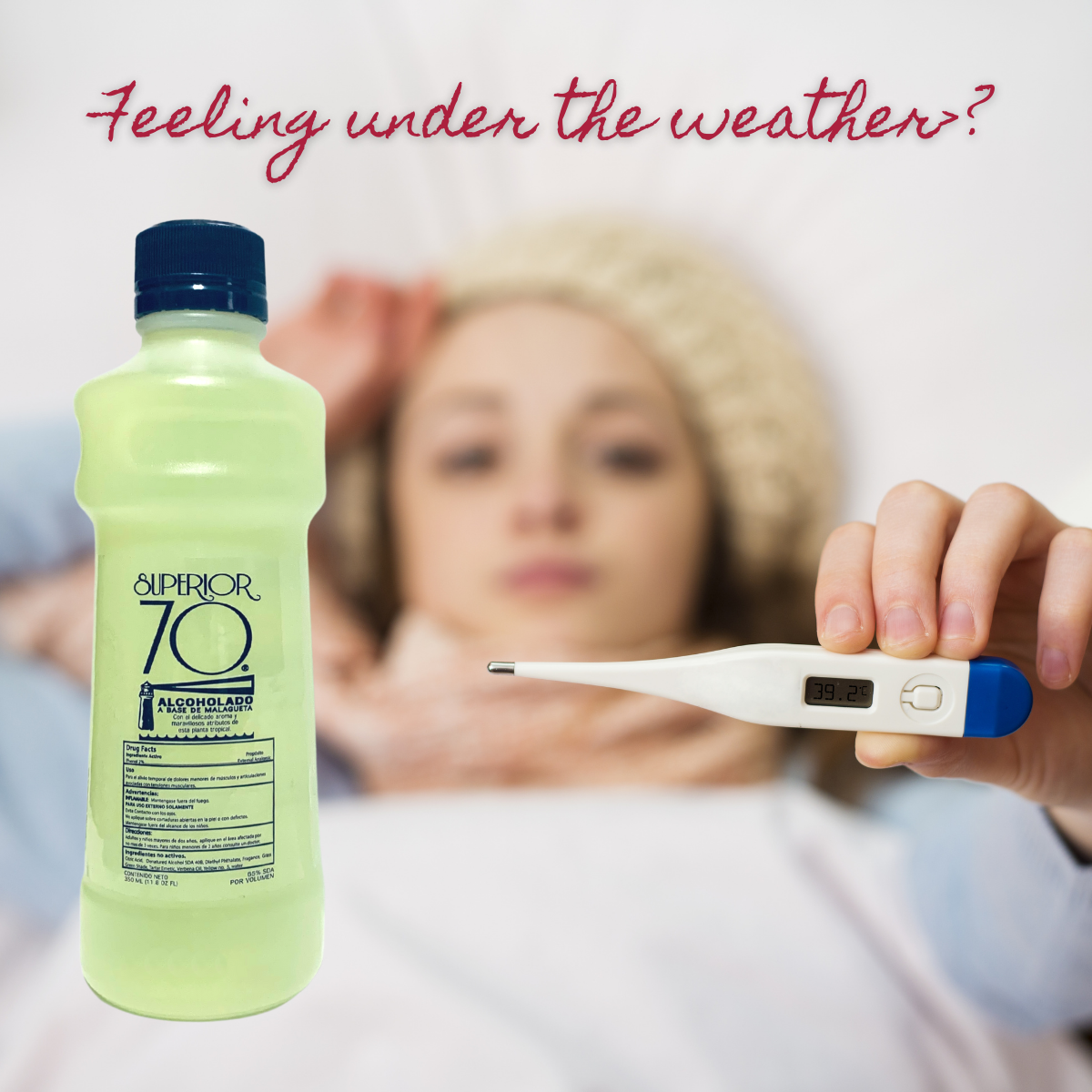 Superior 70 Alcoholado Bay Rum 11.8 oz. New Bottle 82301000200 | eBay