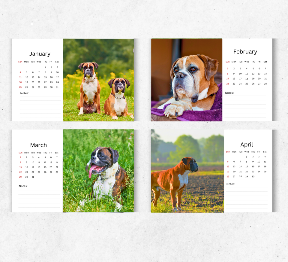 Boxer Dog Desk Calendar 2026-2027: Standing Flip Desktop Calendar | eBay UK