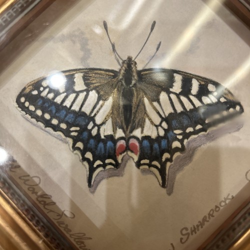 Original Joan SHARROCK / Butterfly Swallowtail Watercolor framed Art | eBay
