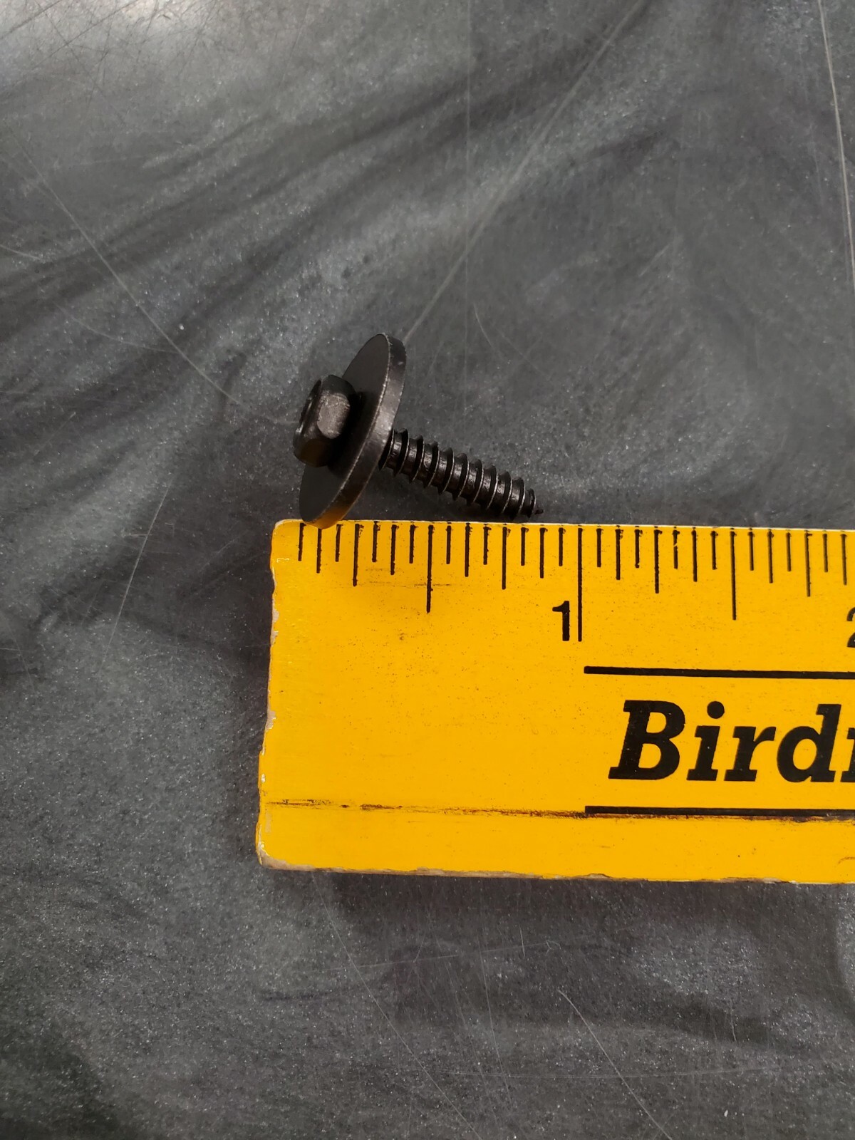 11570498 GM Front Grille Bolt | eBay