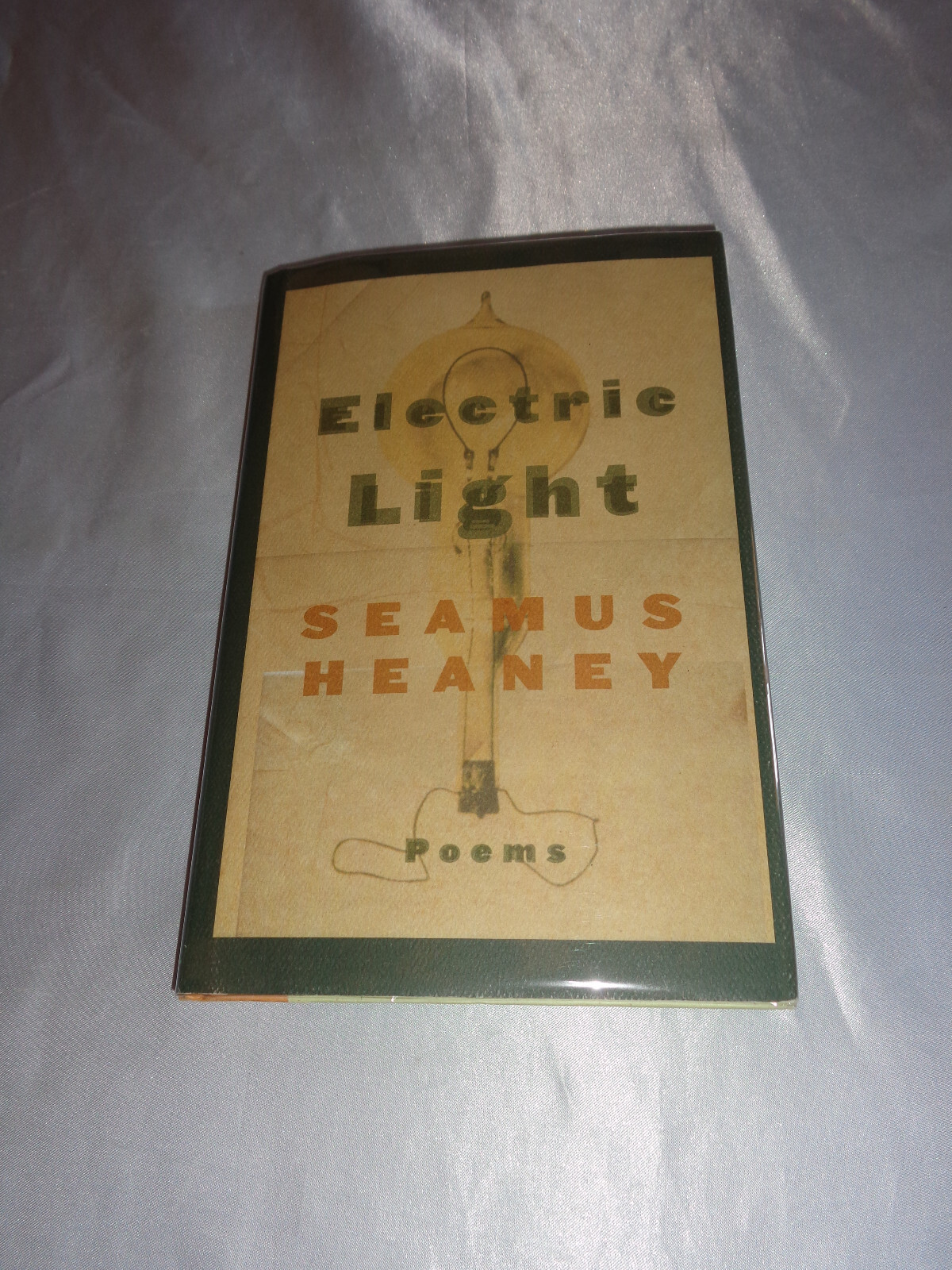 Electric Light : Poems by Seamus Heaney (2001, Hardcover) for sale ...