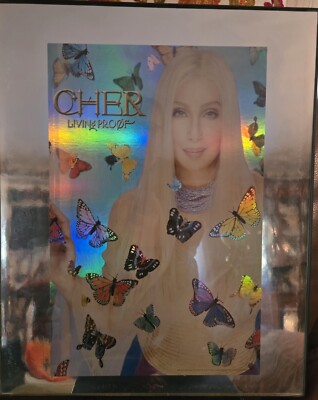 FRAMED CHER “Do You Believe?” 1999 HBO Live Concert & Living Proof ...