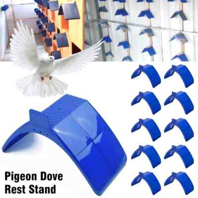 10pcs Birds Dove Pigeon Rest Stand Frame Dwelling Roost Perches Birds ...