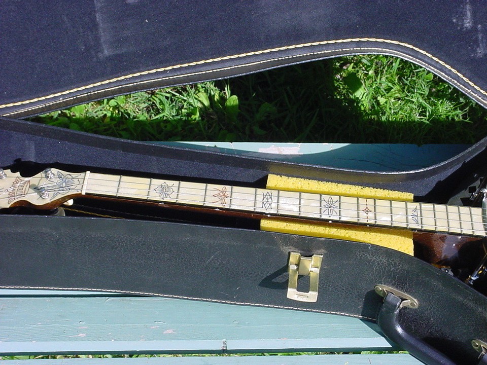 MAYBELL QUEEN BANJO 1920s BEST OF KIND GREAT DECORATION AND FRETBOARD ...