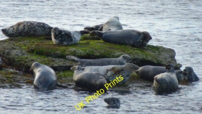 Photo 6x4 The A361 between Filkins and Lechlade Broughton Poggs Around ...