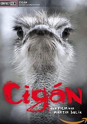 Movie DVD - Cigan (1 DVD) (Untertitelt) | eBay