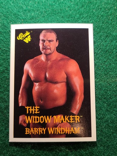 1990 Classic WWF THE WIDOW MAKER BARRY WINDHAM #42 Wrestling Card WWE ...