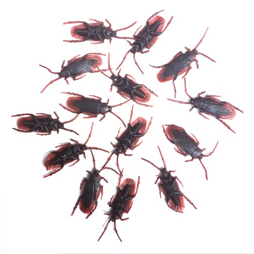 20pcs Lifelike Model Simulation Fake Cockroach Roach Bug Toy Funny ...