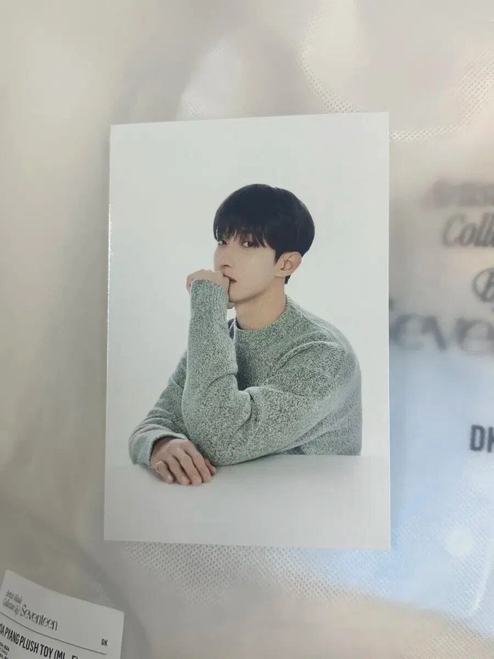 SEVENTEEN DK Artist Made Season 2. DOA Official Plush Toy W/ Photocard ...