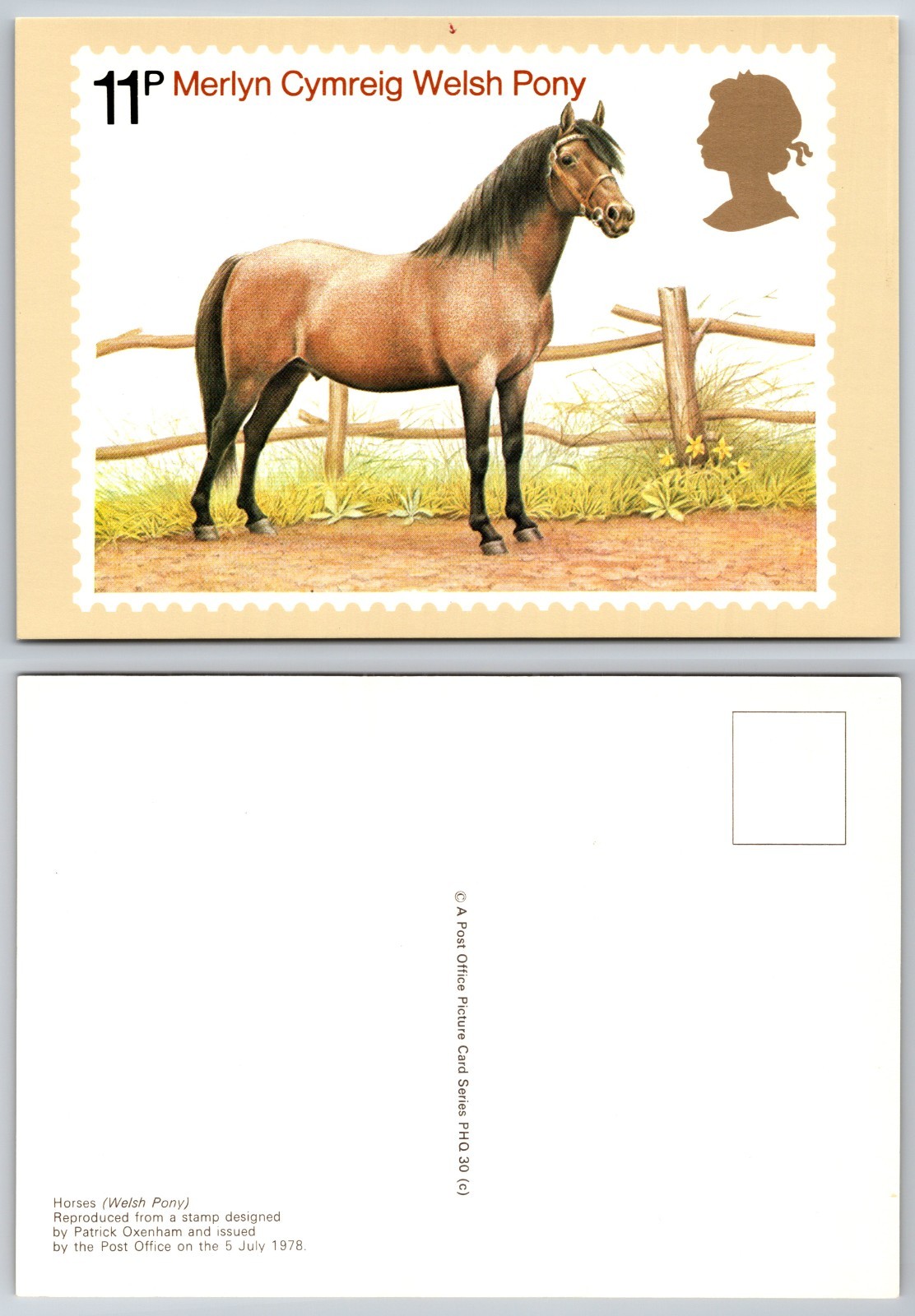 Continental Merlyn Cymreig Welsh Pony Postcard | eBay