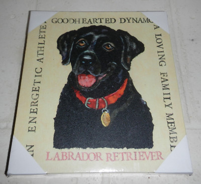 NWT Labrador Retriever Dog 11x12 Canvas Wall Plaque Sign Art by ...