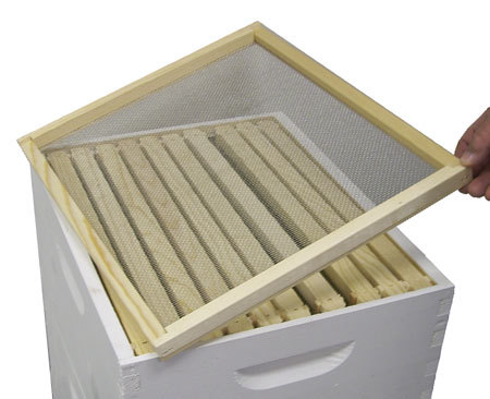 Ventilated Screened Inner Cover for 8 Frame Hive Langstroth Beehive | eBay