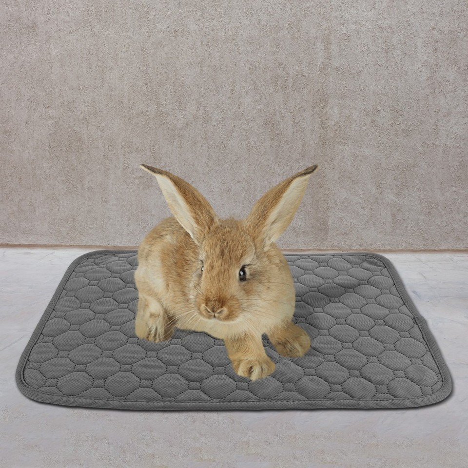 Hamster Pee Pad Washable Pet Pee Cushion Chinchilla Cage Liner ...