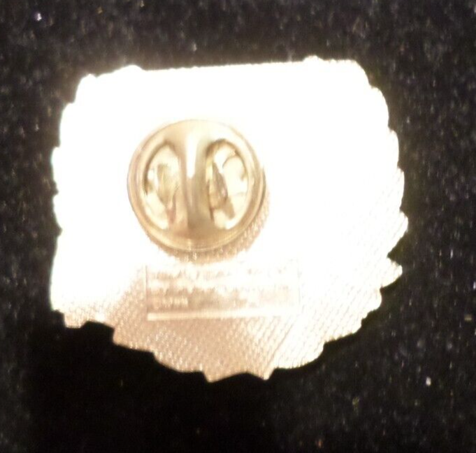 Cleveland Browns Pin - 1993 | eBay