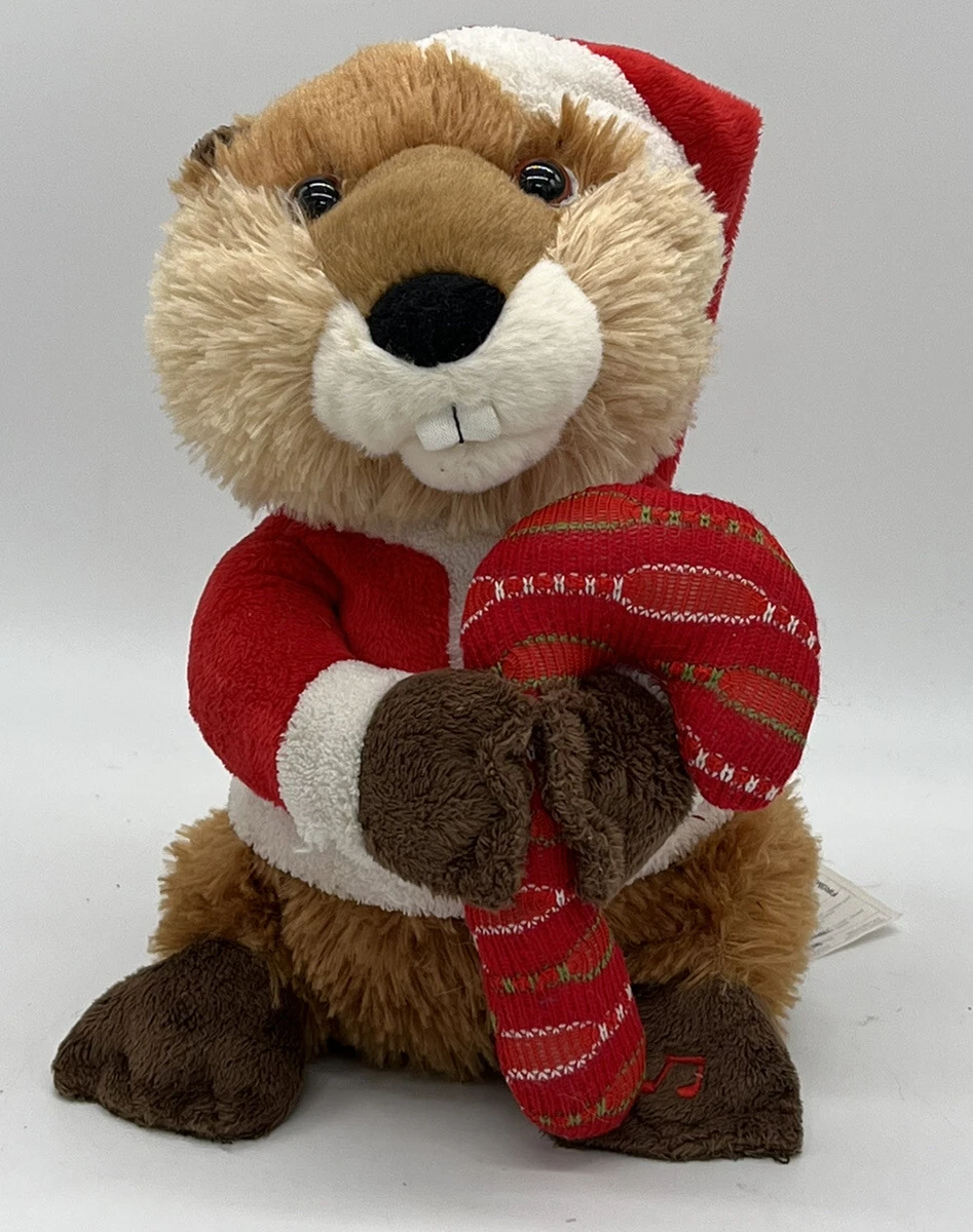 Justin Bieber As A Beaver