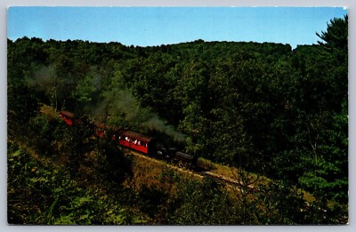 Postcard Wisconsin Dells WI Riverside & Great Northern Railroad ...