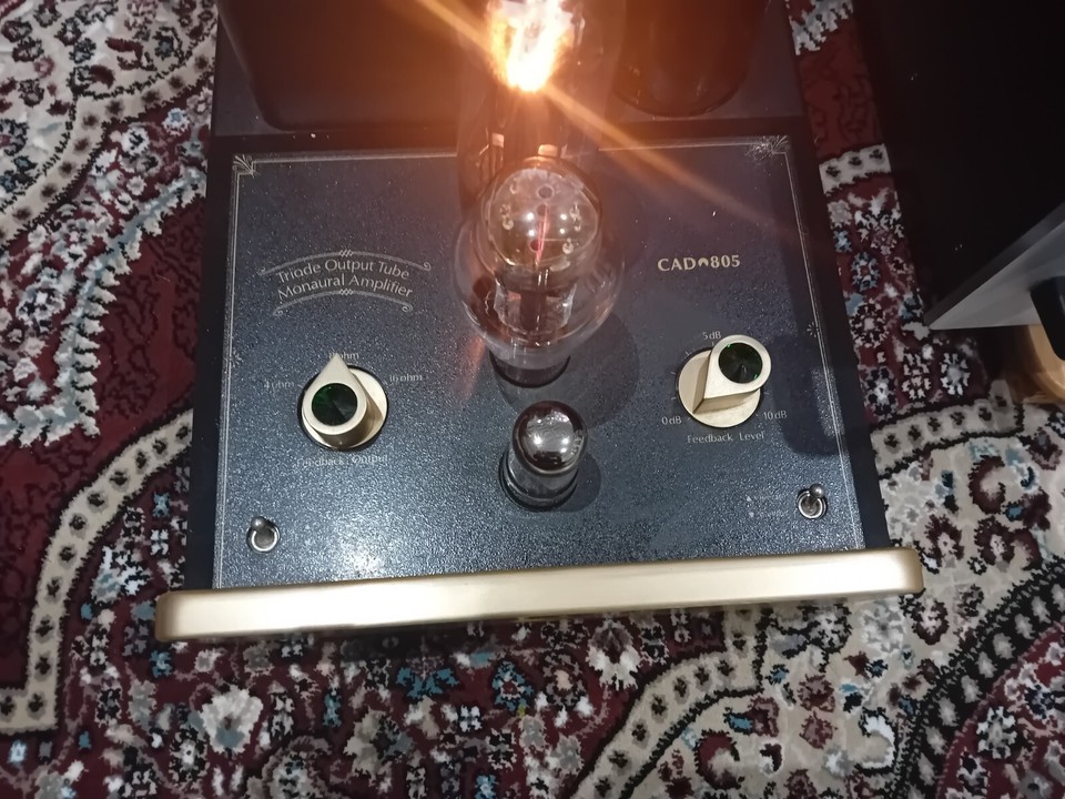 Cary CAD 805 triode output monaural tube valve power amplifiers mono ...