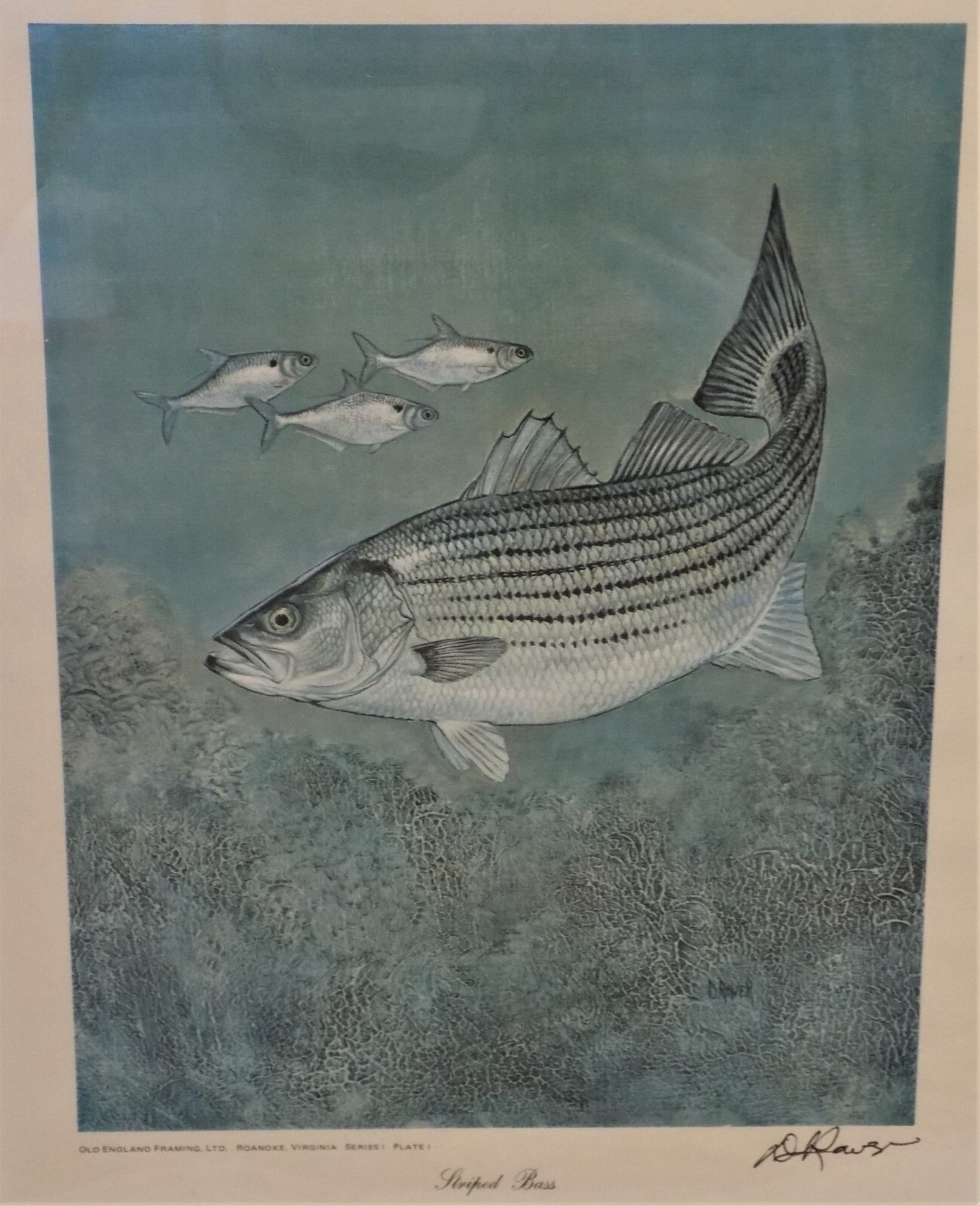 Duane Raver North Carolina Artist Signed Print Series 1 Plate 1 Striped ...