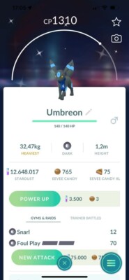 Shiny Umbreon wearing a night scarf - tr-de 20k stardust | eBay