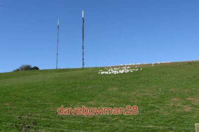PHOTO ISLE OF WIGHT - ROWRIDGE LOOKING NORTHWEST FROM ROWRIDGE LANE IN ...