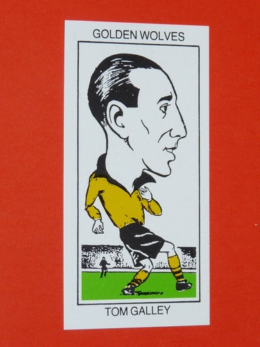 WEST MIDLANDS CARD FOOTBALL 1989 GOLDEN WOLVES WOLVERHAMPTON #23 TOM ...