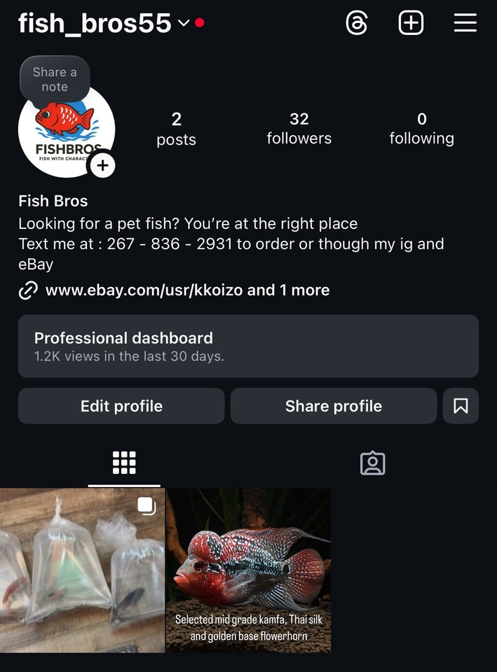 Selected Super Red Texas Hybrid Santa Parrot Cichlid | eBay