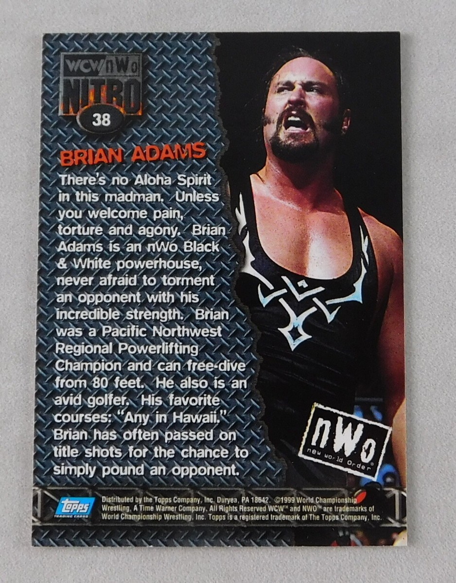 Brian Adams Crush Wrestler