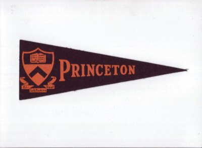 Vintage College Pennant Princeton University Felt Banner Flag Mini 10 ...