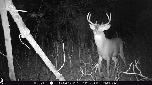 Moultrie Mobile Wireless Field Modem MV1 (MCA-13033) for sale online | eBay