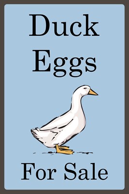 Duck Eggs For Sale, Vintage Style New Metal Sign for Farm, Drive ...