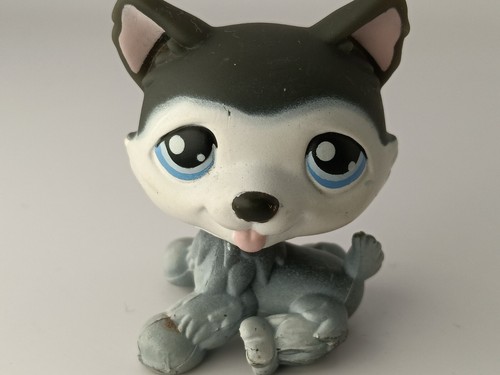 petshop authentic LPS chien Husky Dog Blue Eyes #210 Aimant original ...