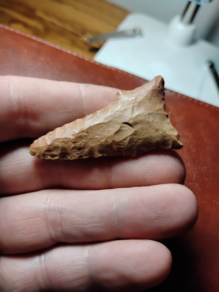 Authentic Dalton Arrowhead 2 1/8" Sweet Dalton | eBay