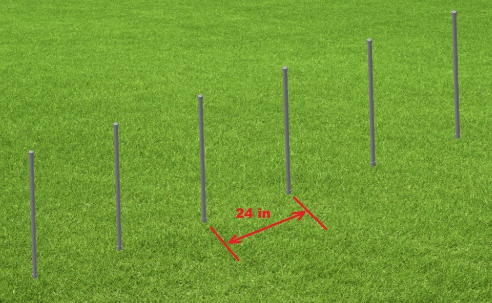 12 Weave Pole Pegs & 12 Jump Cups Dog Agility Equipment You Cut Poles ...