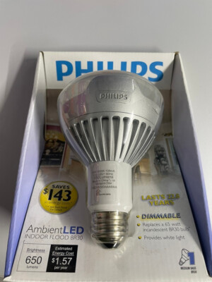 Philips Outdoor & Security PAR38 Ambient LED Flood Light - 650 Lumens ...