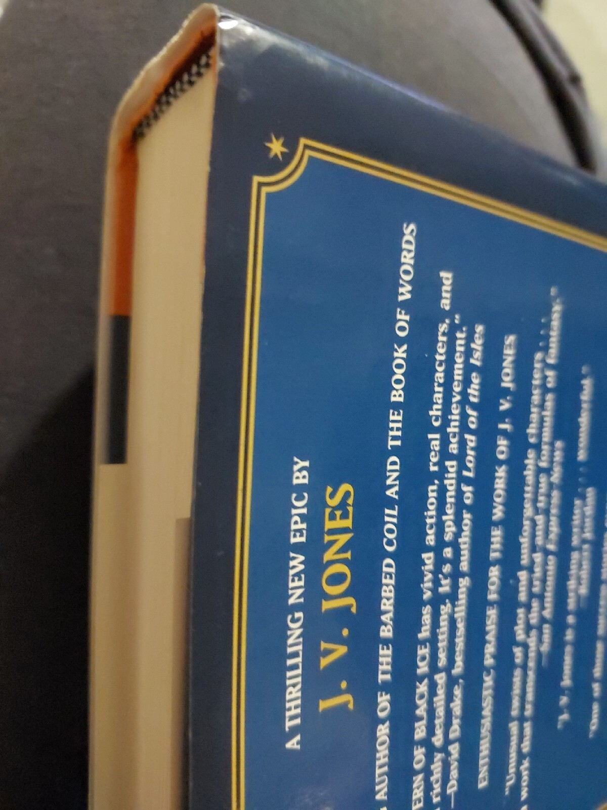 A Cavern Of Black Ice 1st US HB Ed Book 1 The Sword of Shadows J. V ...